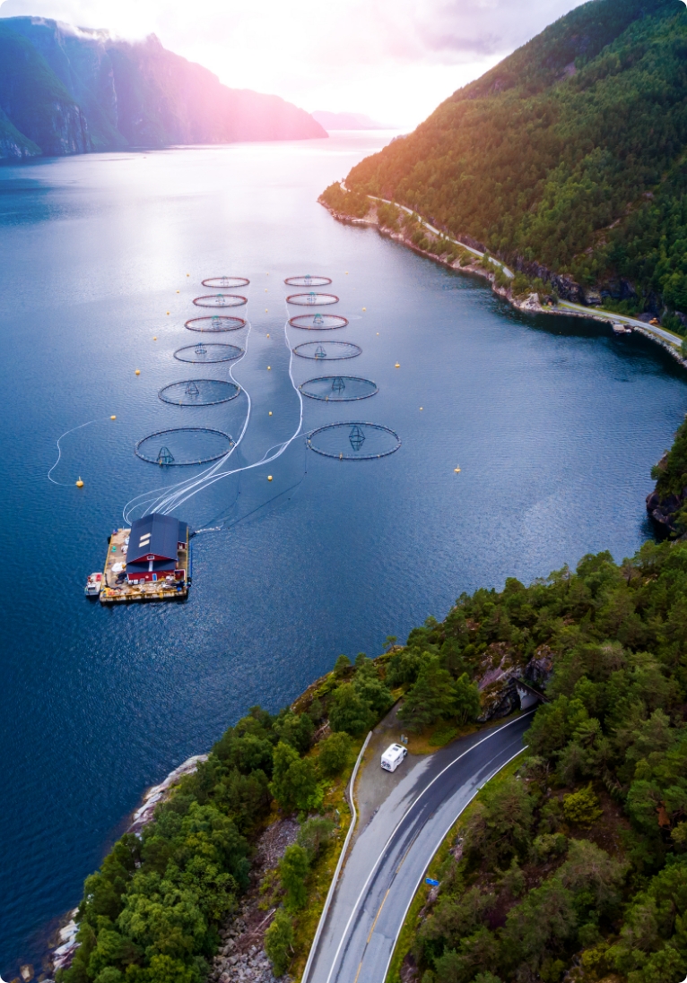 Konree Innovation | Aquaculture Technology | EU Funded